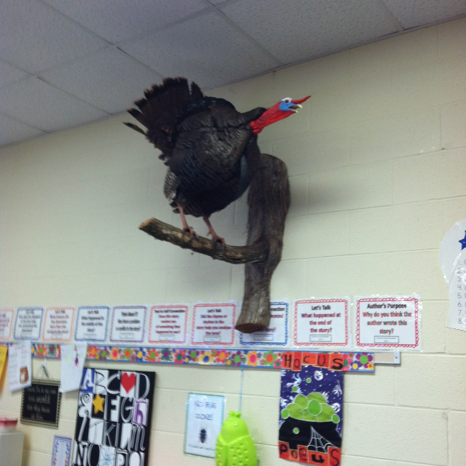 second-grade-thanksgiving-turkey-fun-and-facts-from-the-schroeder-page